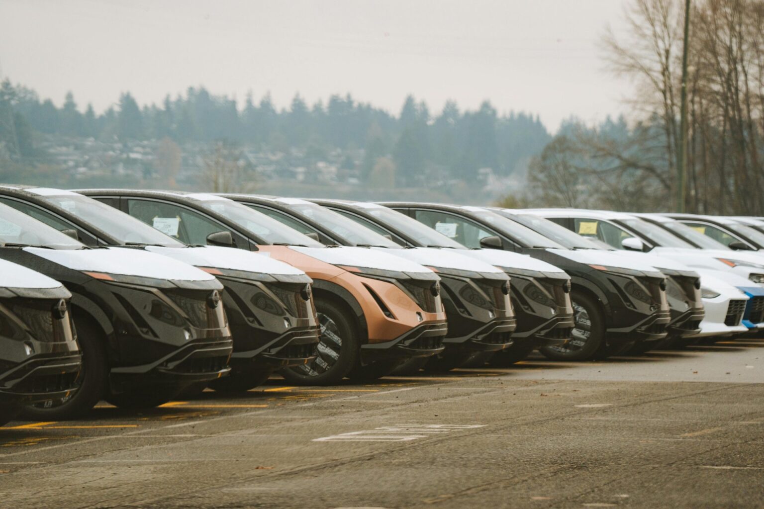 The Rise of New Electric Car Brands In The UK | cars2buy